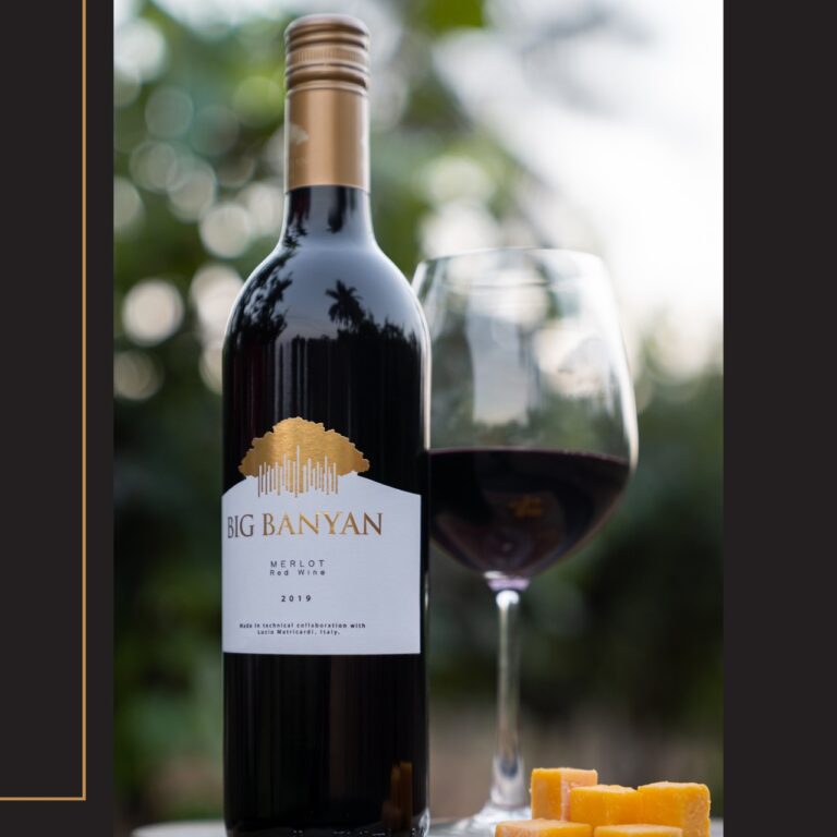 Top 10 Best Wines in India: The Most Popular Brands